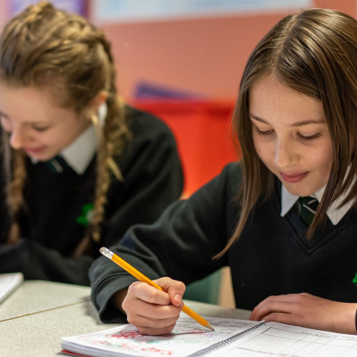 Rodillian Academy - Item Not Available